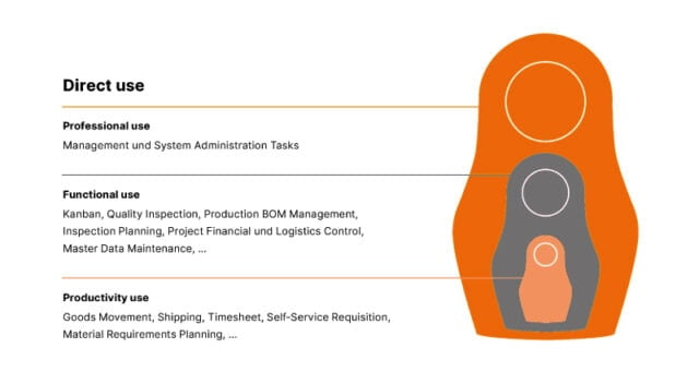 Rise with SAP: Mastering challenges through proactive license ...