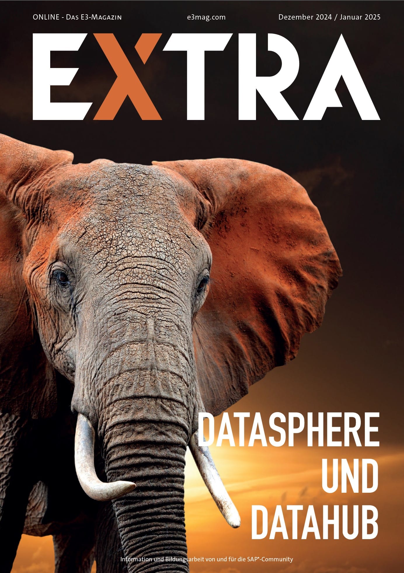 Diciembre de 2024 | E3 Magazine